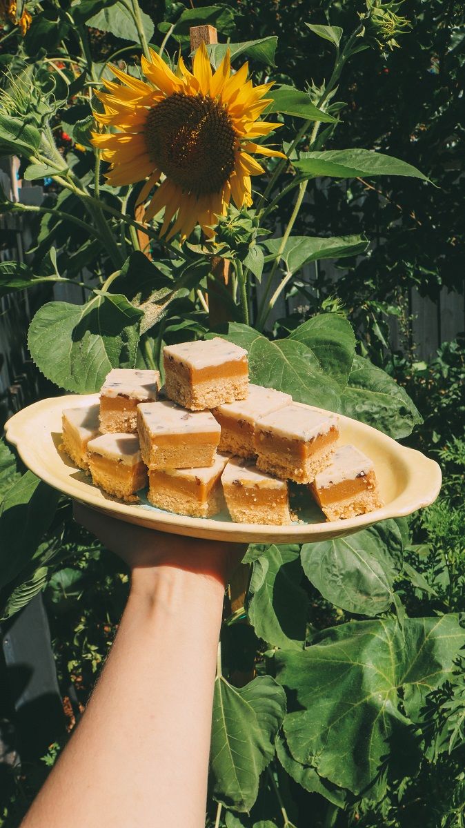 Vegan & Gluten Free Venetian Biscuit Slice
