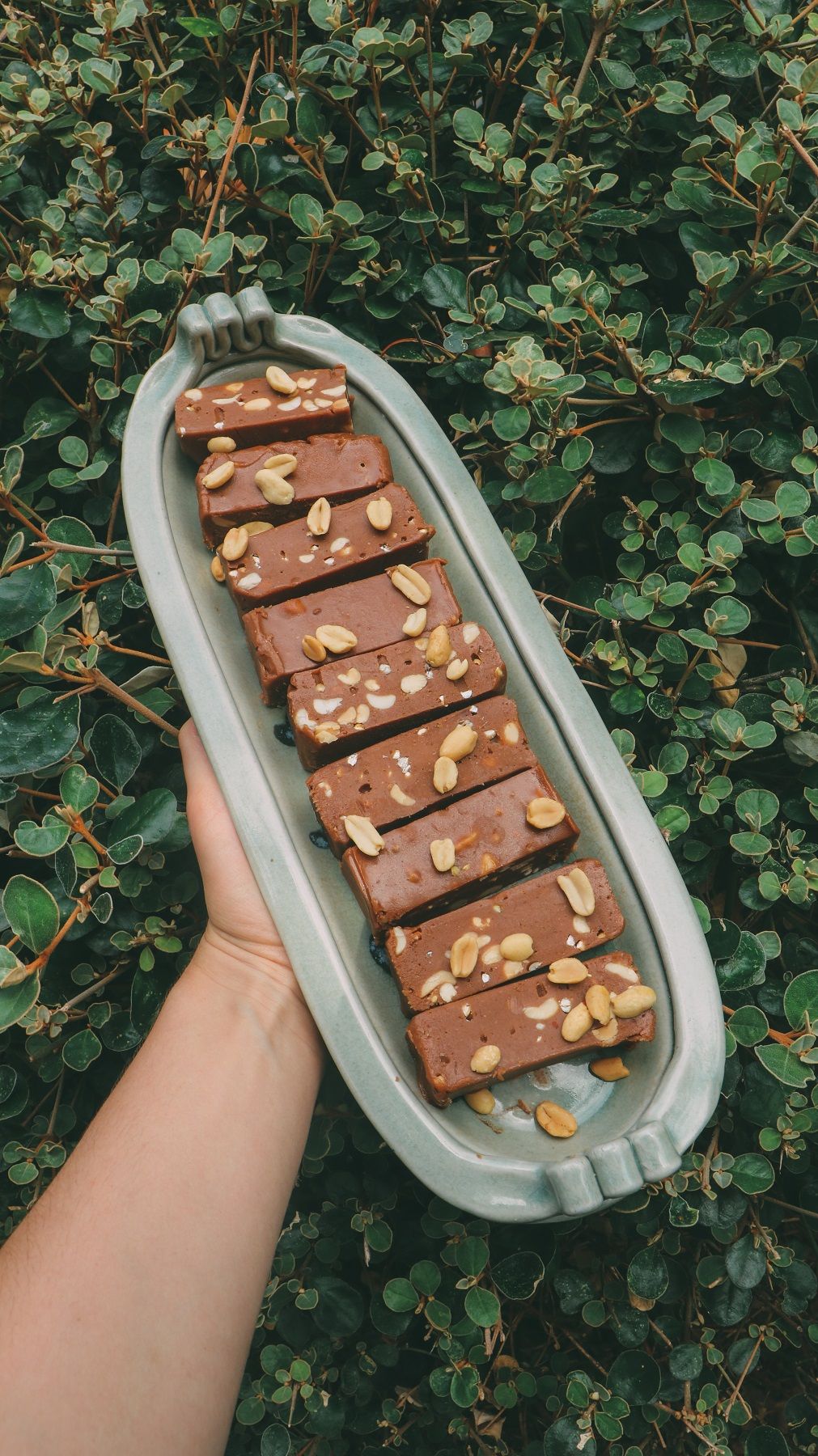 Copycat KOJA Chocolate Peanut Butter Bars (Vegan & GF)
