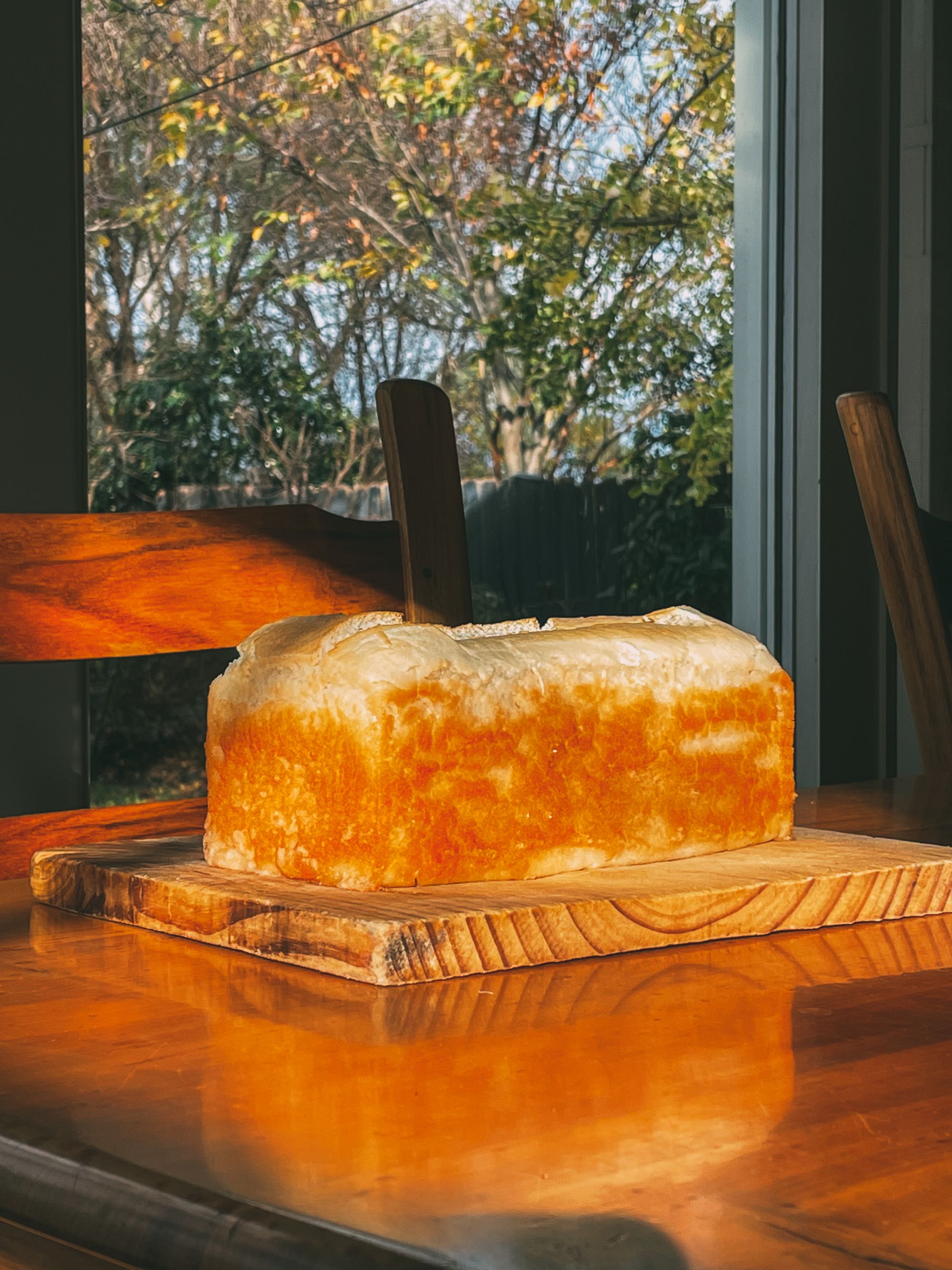 Gluten-Free & Vegan Shokupan (Japanese Rice Bread)