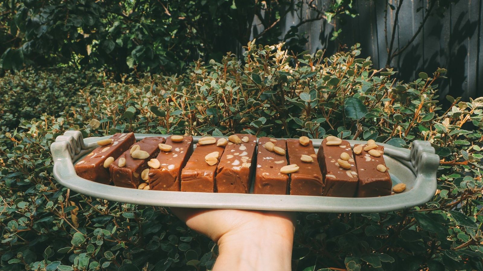 Copycat KOJA Chocolate Peanut Butter Bars (Vegan & GF)